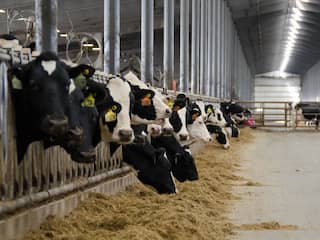Natuur | NU - Het laatste nieuws het eerst op NU.nl