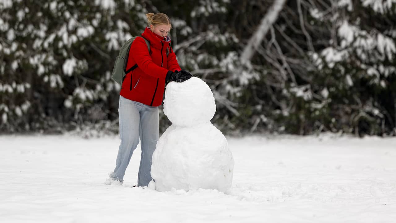 Live winterweer | Langer code oranje in twee provincies, hele weekend ...