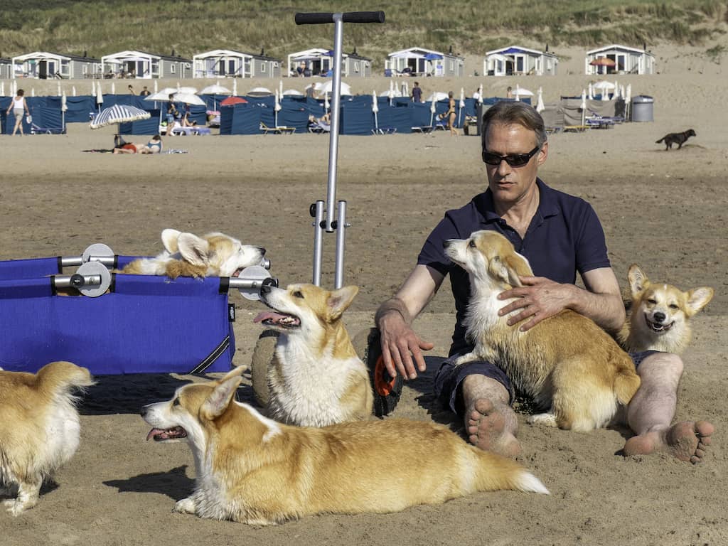 Van bootje tot hangmat: Nederland geniet van zonnig Pinksterweekend ...