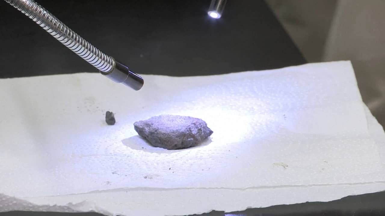Dinosaurusmuseum vindt fossiel onder eigen parkeerplaats | NU.nl