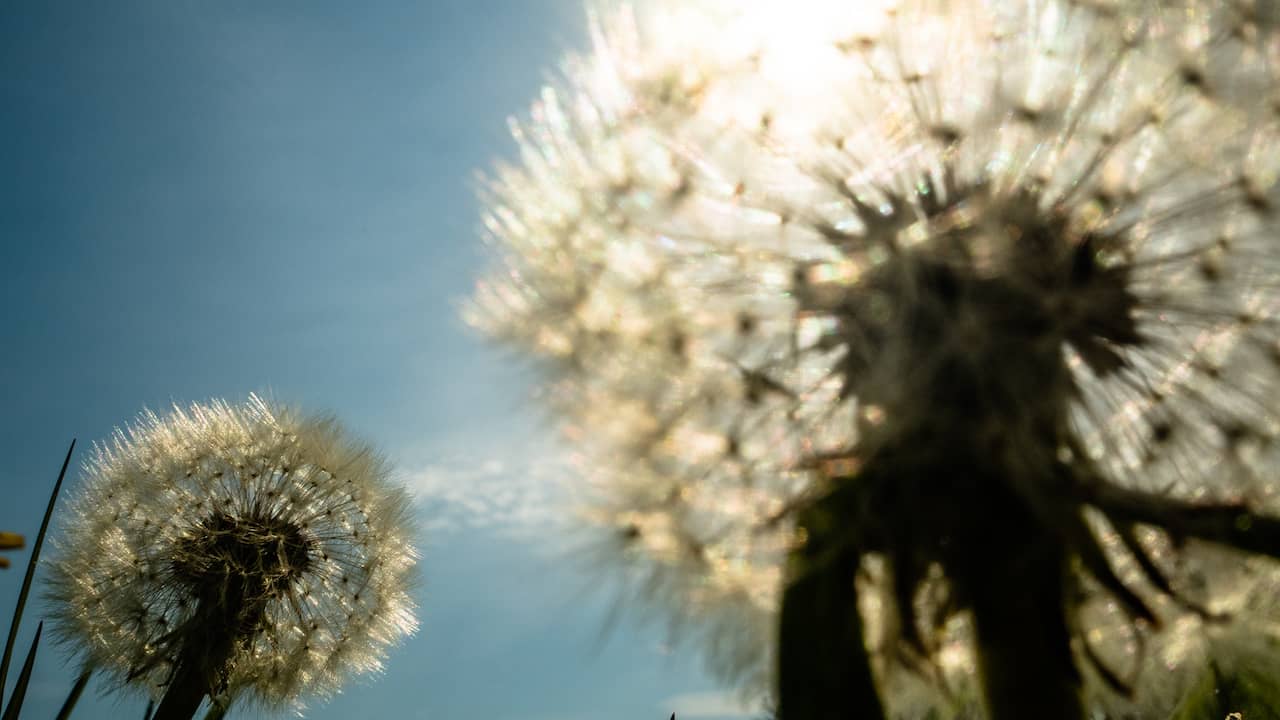 Officieel warmste lente en natste meimaand ooit: 'Zagen extreme ...