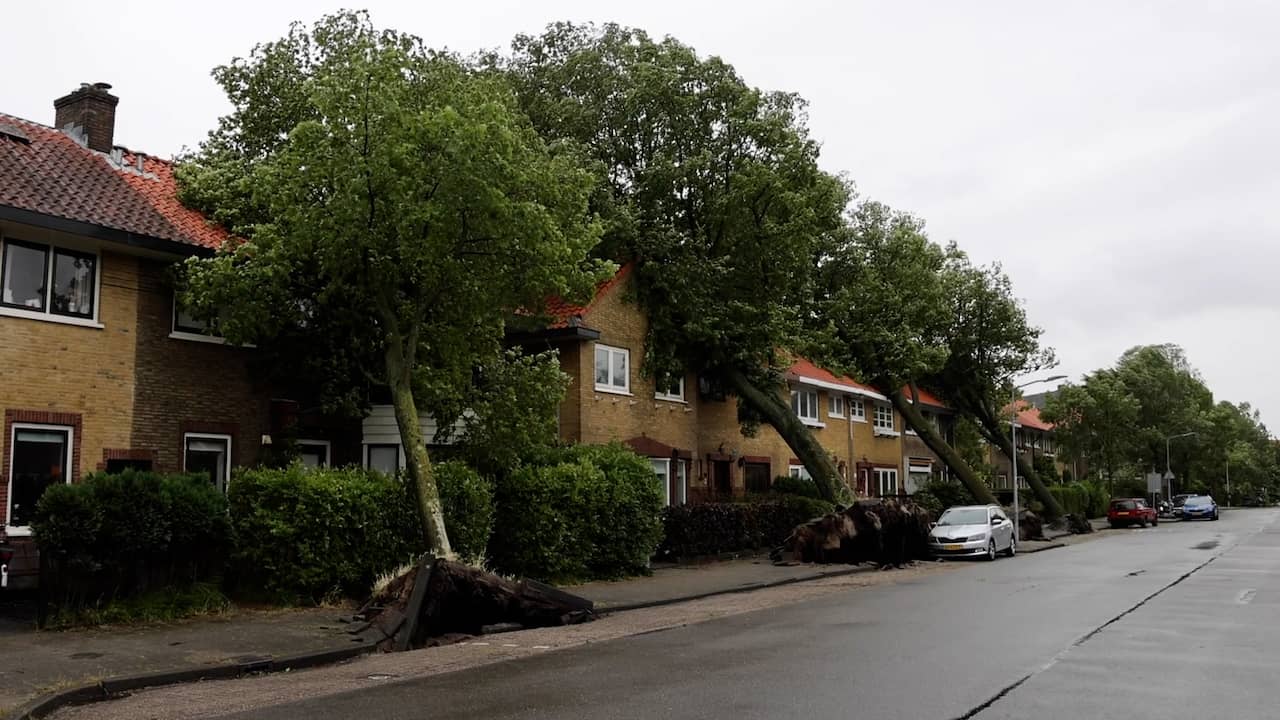 Storm Poly eist leven: vrouw in Haarlem overleden door boom op auto ...