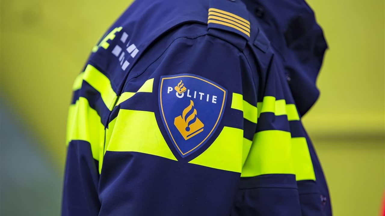 Boa's mishandeld in Amsterdam, Nederlandse Boa Bond maakt zich zorgen ...