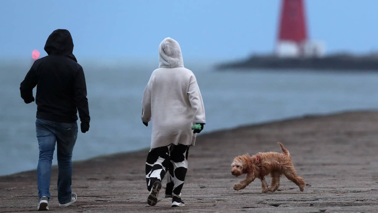 KNMI geeft zondag code geel af voor hele land vanwege storm Bella ...