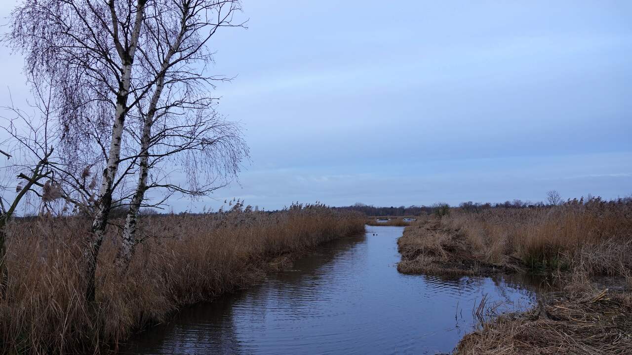 Weerbericht: Bewolkte dag met af en toe lichte regen | Binnenland | NU.nl