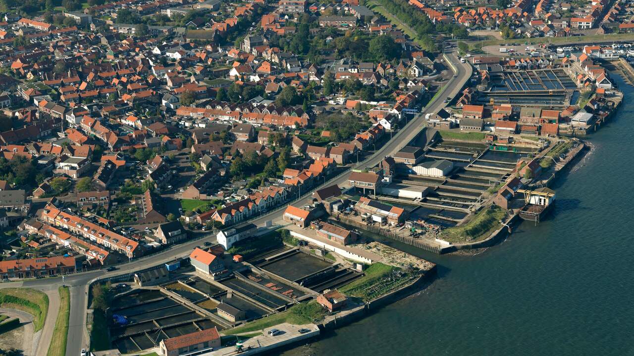 Verlagen snelheid op Zanddijk bij Yerseke in onderzoek | Zeeland | NU.nl