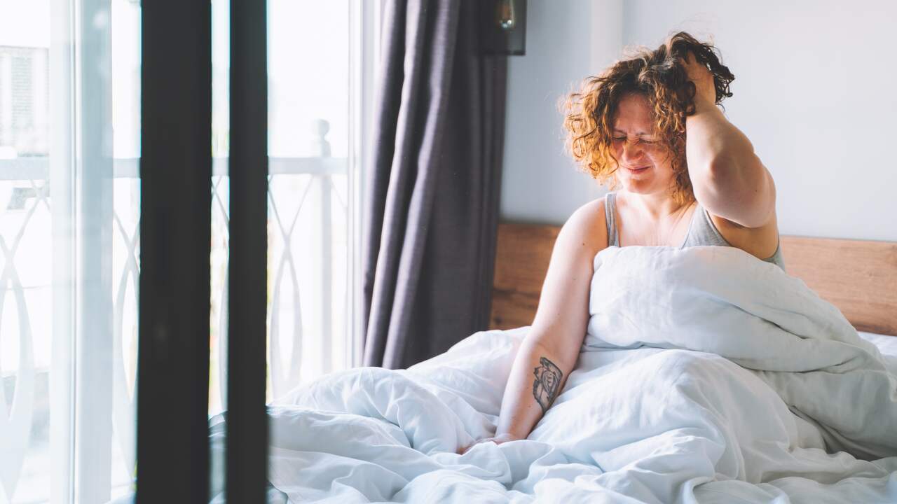 Waarom je niet kan voorspellen hoe groot je kater wordt | Slimmer leven ...