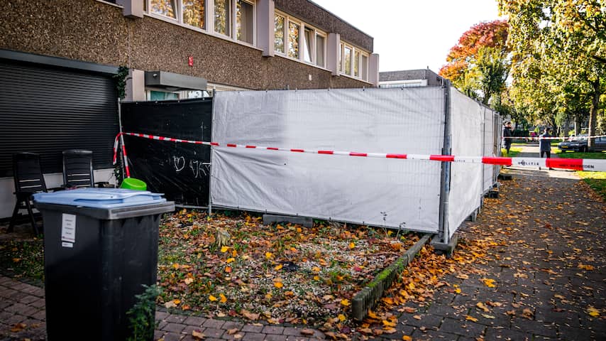 Geen cel, maar tbs geëist tegen vrouw die halfzus neerstak tijdens ...