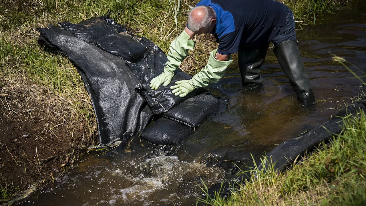 Het regent, maar lang niet genoeg: 'Het stroomt direct naar zee ...