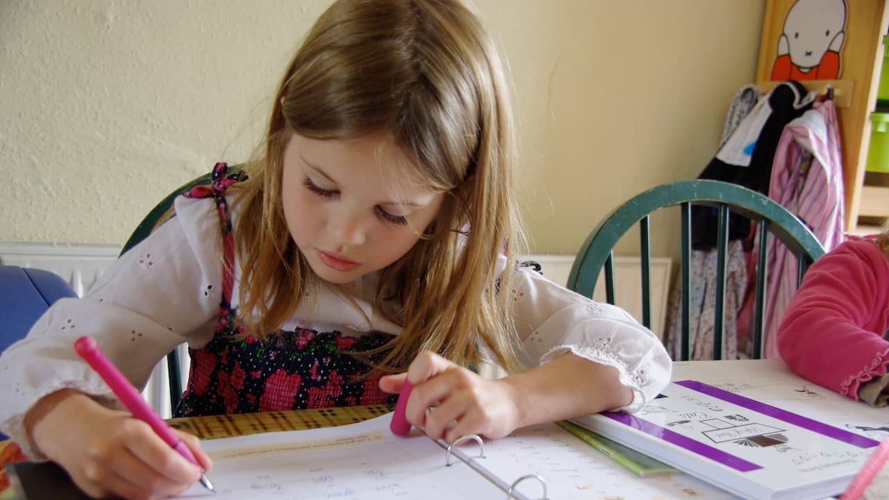 Thuisonderwijs tot vwo-diploma: 'Gebruikten gewone schoolboeken en ...