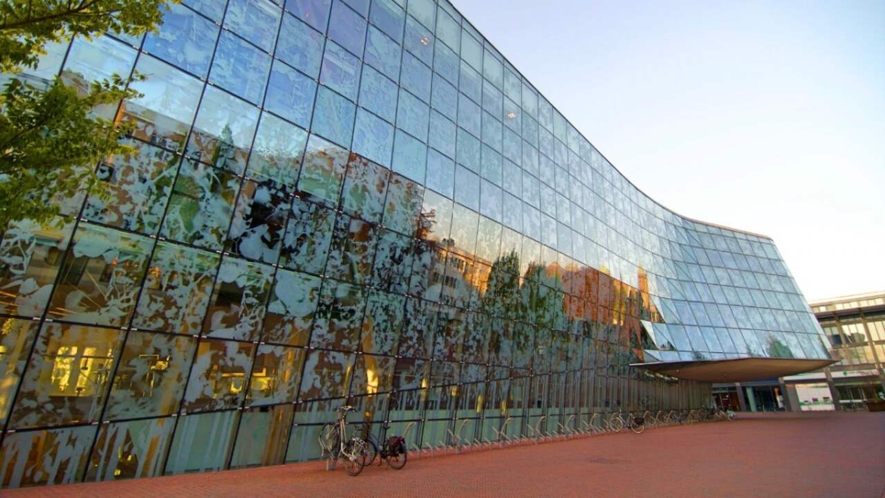 Schadelijke stoffen in grond bij stadhuis gevonden: twee werkmannen ...