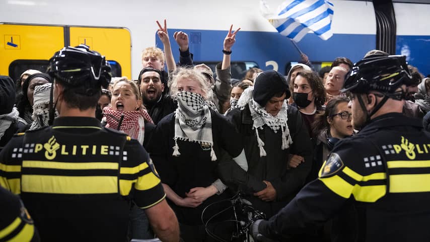 Meer dan tweehonderd pro-Palestijnse betogers opgepakt bij Den Haag ...