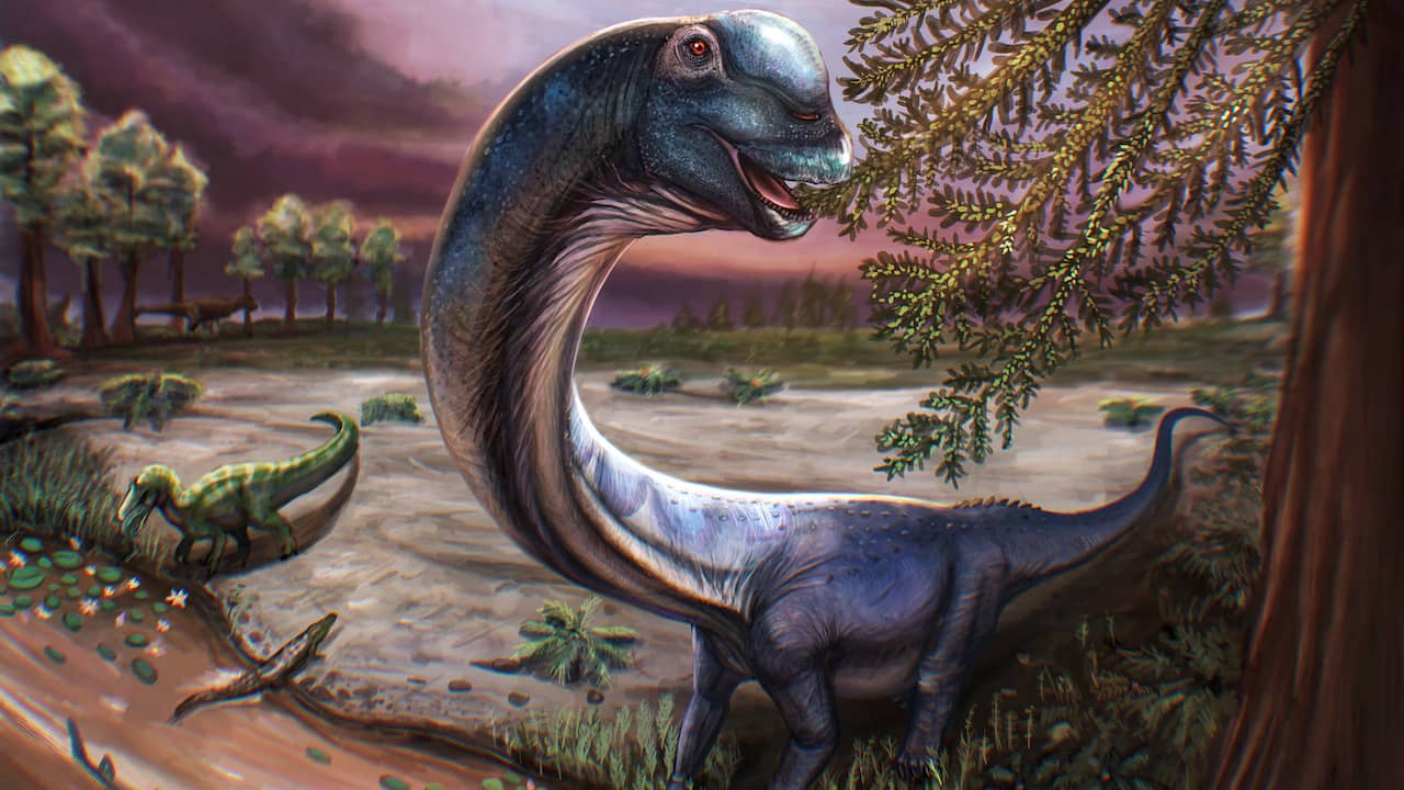 Overblijfselen van enorme dino gevonden: 'Grootste van Zuidoost-Azië ...