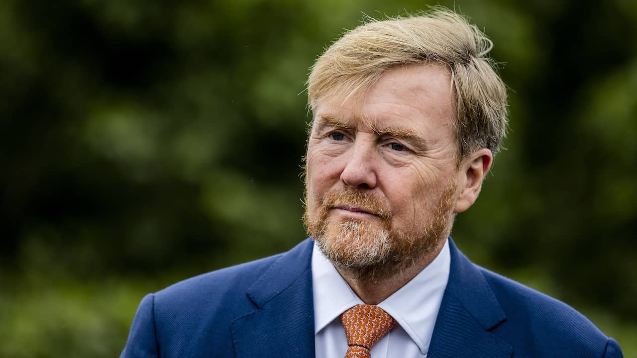 Koning en vijftig andere mannen roepen op tot veiligheid voor vrouwen | Media en Cultuur | NU.nl