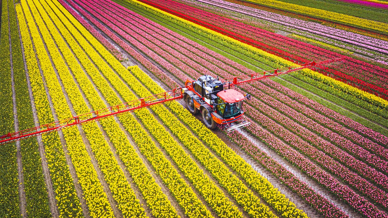 Biologische boer moet akker verkopen vanwege bestrijdingsmiddelen ...