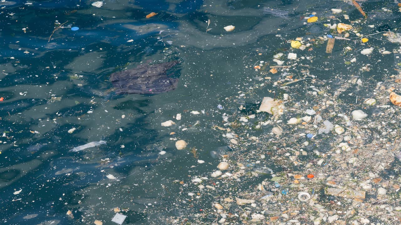 WWF: Plastic in oceanen in 2050 verviervoudigd, grote gevolgen voor ...