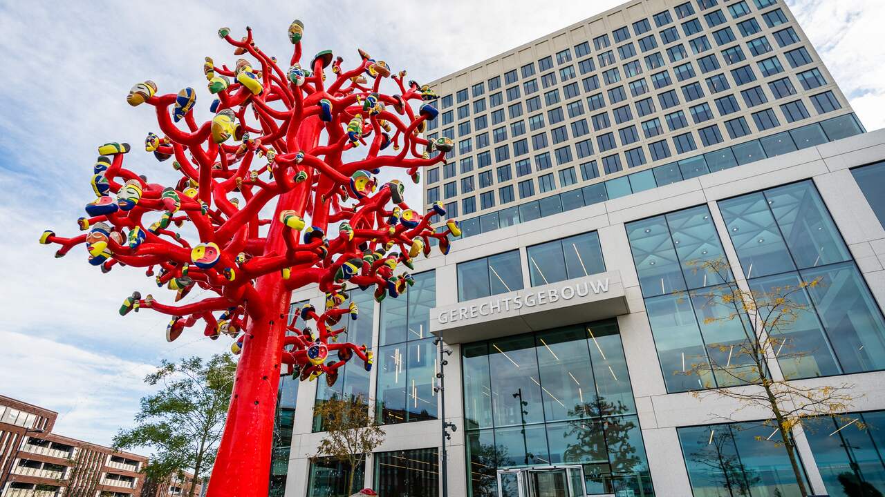 Levenslange celstraf voor liquidatie van Eindhovense crimineel Robert S ...