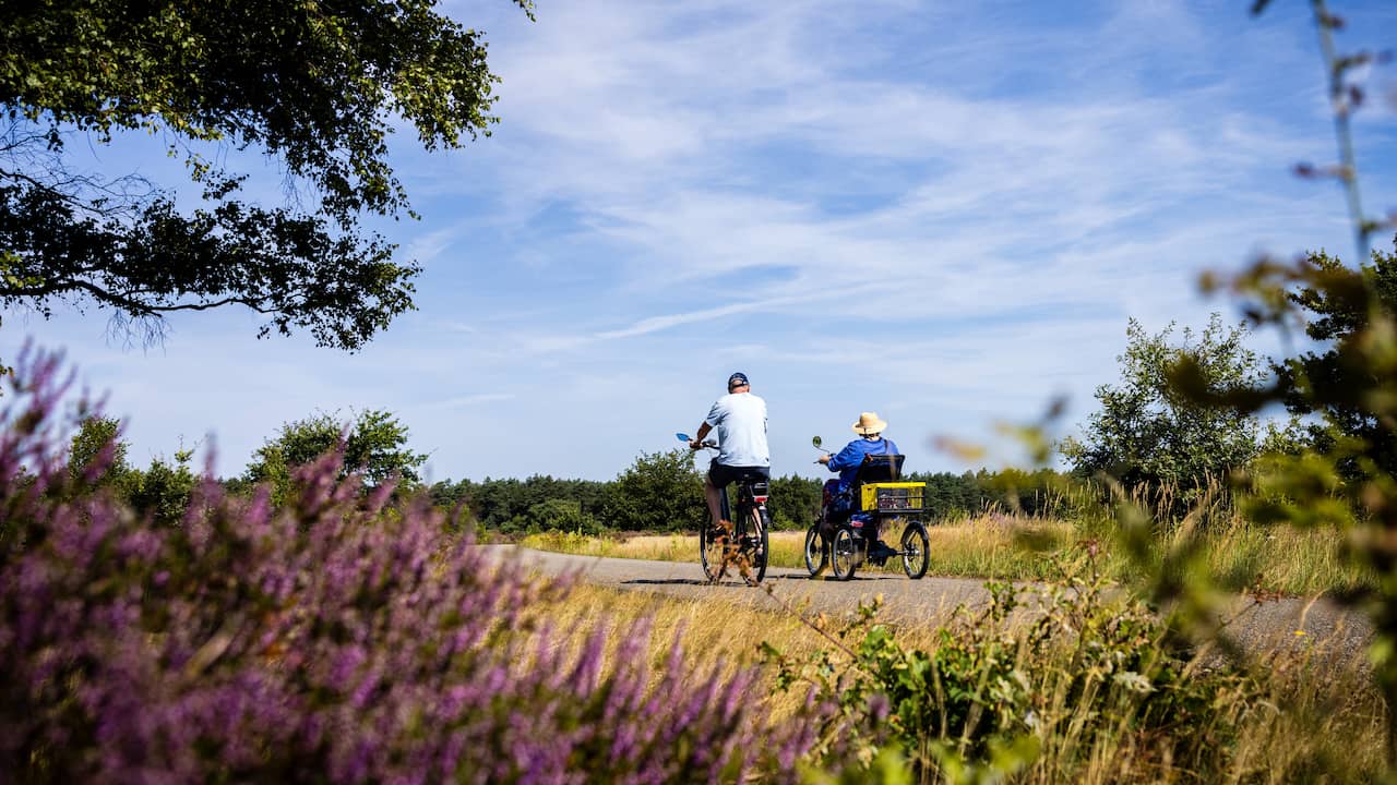 Weerbericht | Opnieuw wat frisser, maar overwegend droge en zonnige dag ... Weerbericht | Opnieuw wat frisser, maar overwegend droge en zonnige dag ...