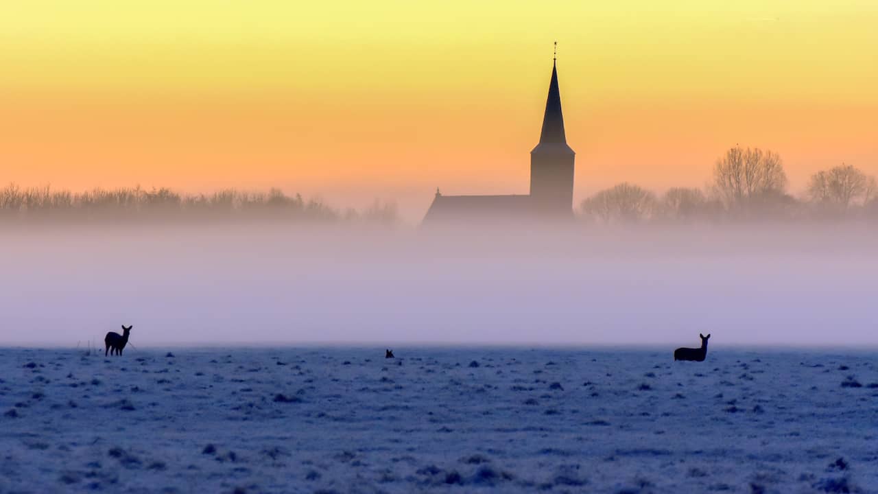 Na zeer warme zomer en kletsnatte herfst begint de winter ijzig koud ...