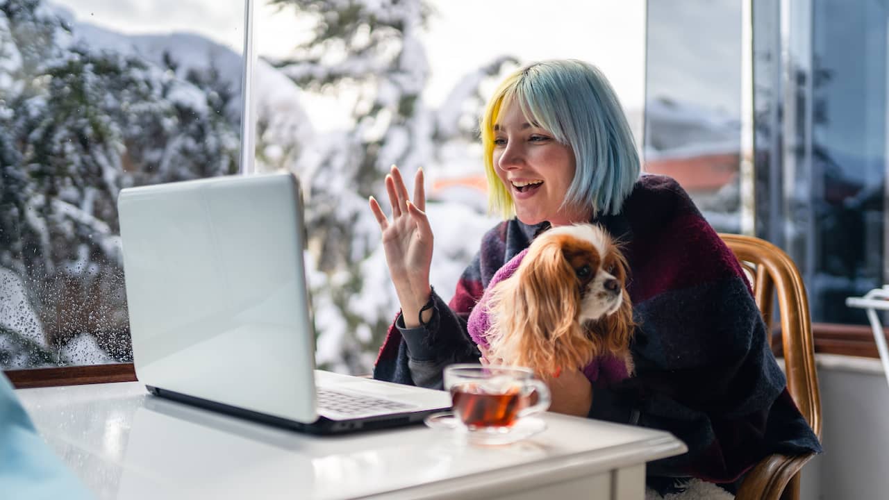 Thuiswerken of toch door de sneeuw? | Uitgelicht | NU.nl