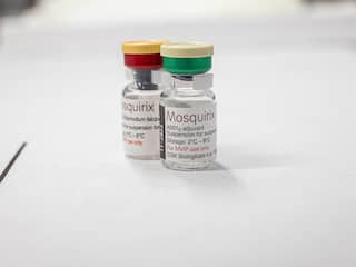 Malaria | NU - Het laatste nieuws het eerst op NU.nl