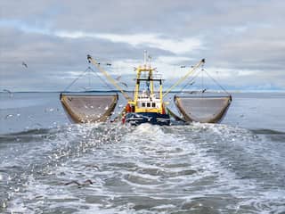 Natuur | NU - Het laatste nieuws het eerst op NU.nl