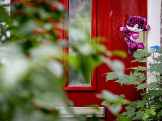 Mishandeld meisje bleef ondanks zorgen vorig jaar bij pleegouders wonen | Binnenland | NU.nl