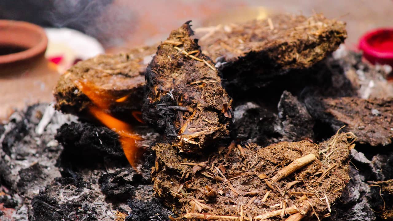 Archeologen weten het zeker: mensen in steentijd gebruikten poep voor ...