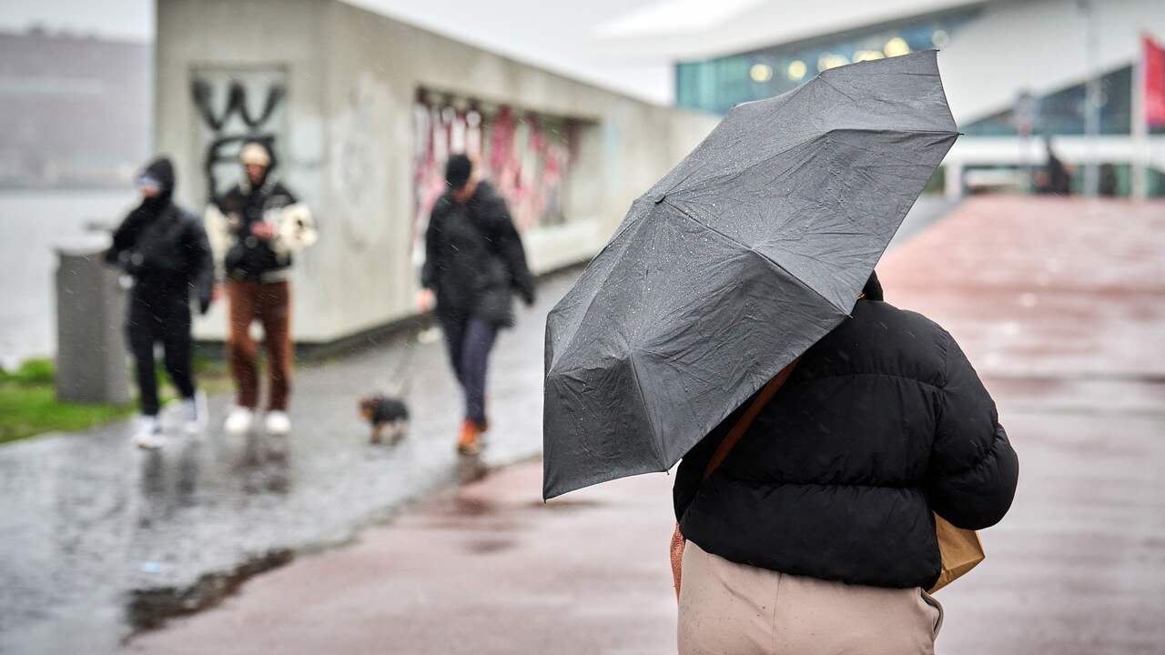 Weerbericht | Lokaal zware windstoten mogelijk op natte en gure dag | Weerbericht | NU.nl