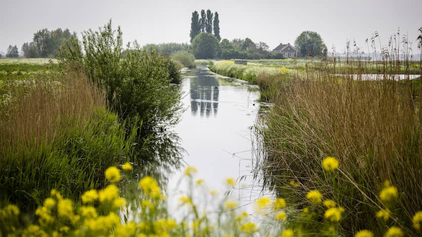 Boeren doen zelf stikstofvoorstel: als uitstoot niet omlaaggaat, dan ...