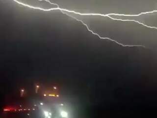 NUcheckt: Honderden miljoenen dieren dood door bosbranden in Australië ...