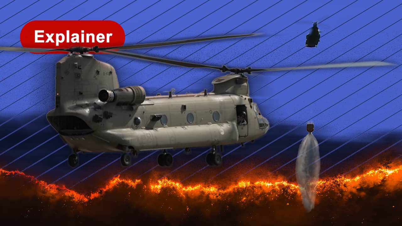 Nederlandse Chinooks in actie: zo blussen ze bosbrand van de eeuw | NU.nl