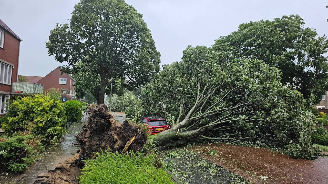 Waarom deze storm Poly heet (en meer vragen over stormnamen) | Storm ...