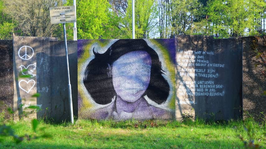 Gezicht van Anne Frank op muurschildering langs A28 in Amersfoort ...