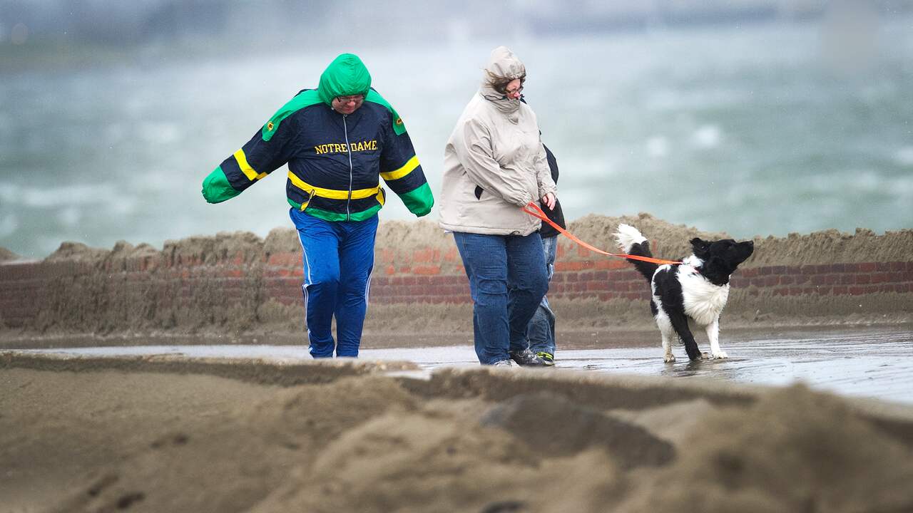 Weerbericht: Onstuimige dag met code geel vanwege harde wind aan de kust | Binnenland | NU.nl