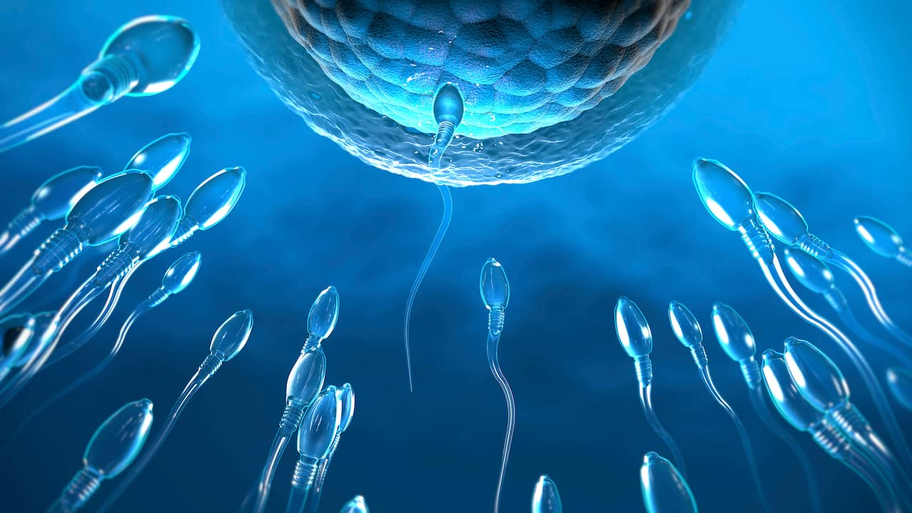 Brabantse gynaecoloog verwekte drie kinderen met eigen sperma ...
