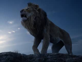 The Lion King | NU - Het laatste nieuws het eerst op NU.nl