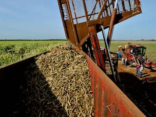 PepsiCo | NU - Het laatste nieuws het eerst op NU.nl