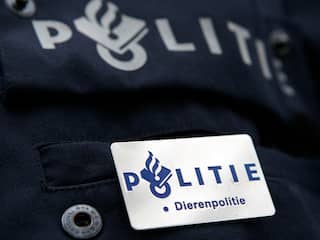 woudenberg | NU - Het laatste nieuws het eerst op NU.nl