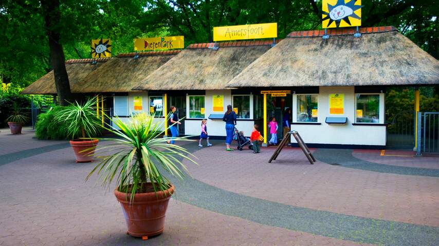 Schildpadden leggen al eieren in Dierenpark Amersfoort | Overig | NU.nl