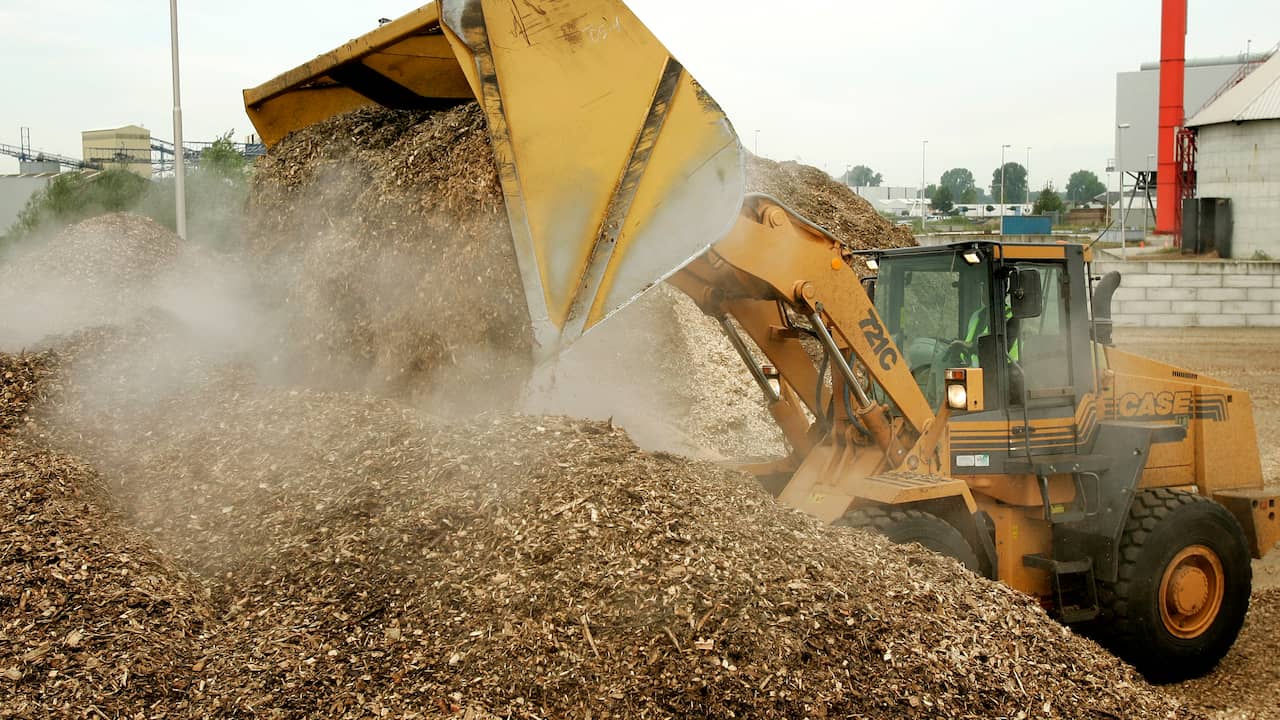 Kabinet komt met tijdelijke subsidiestop voor biomassa | Economie | NU.nl