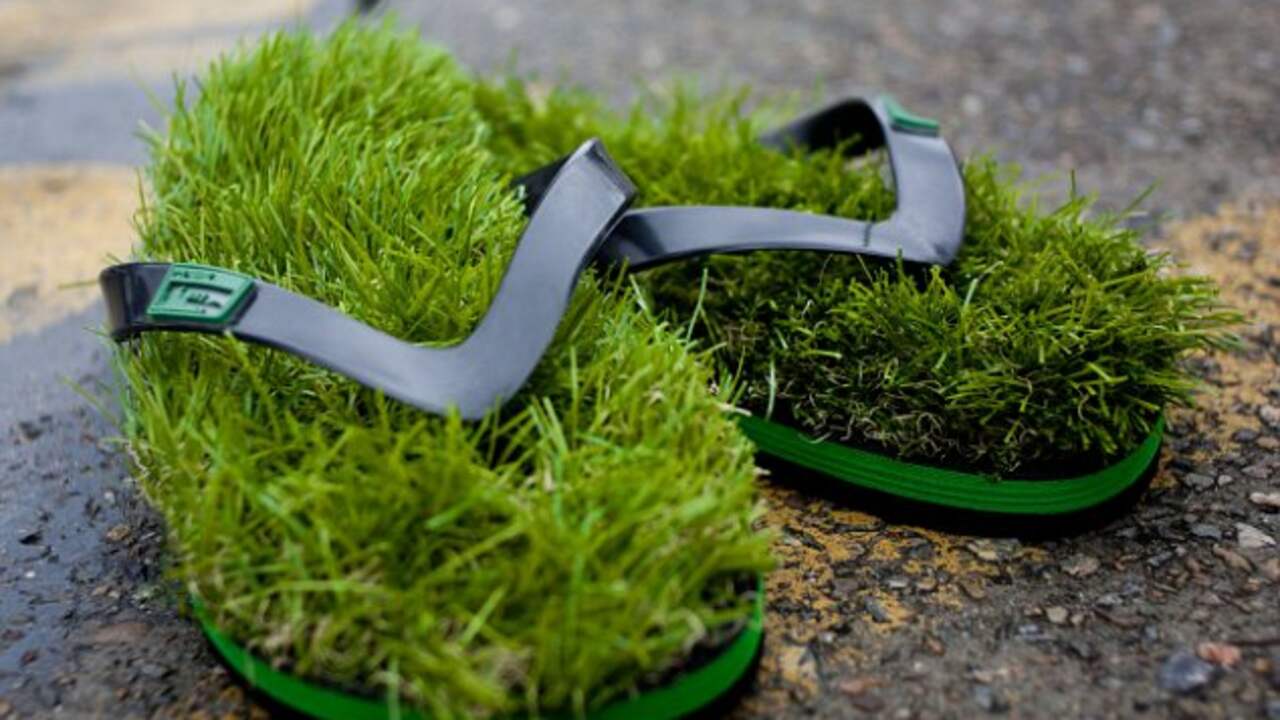 Bedrijf maakt flip-flops met zool van gras | Lifestyle | NU.nl