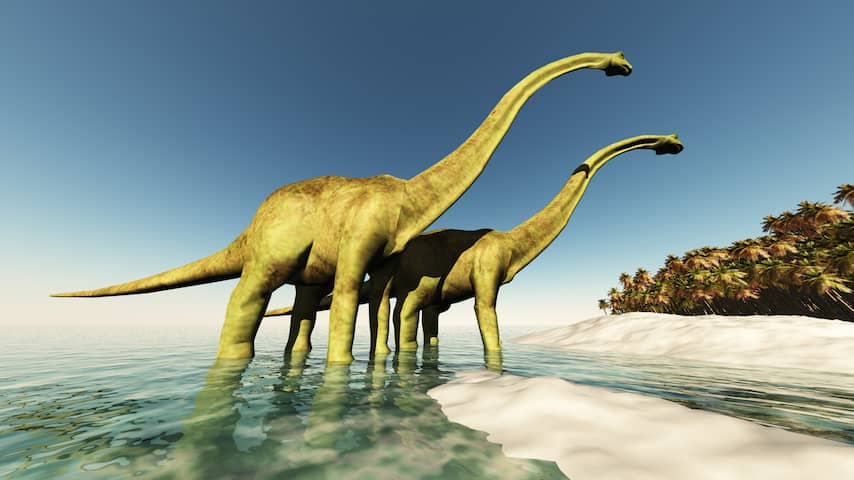 Dinosaurussen Brachiosaurus