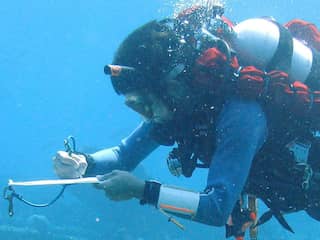 Marine duikt weer naar vermiste duiker | Algemeen | NU.nl