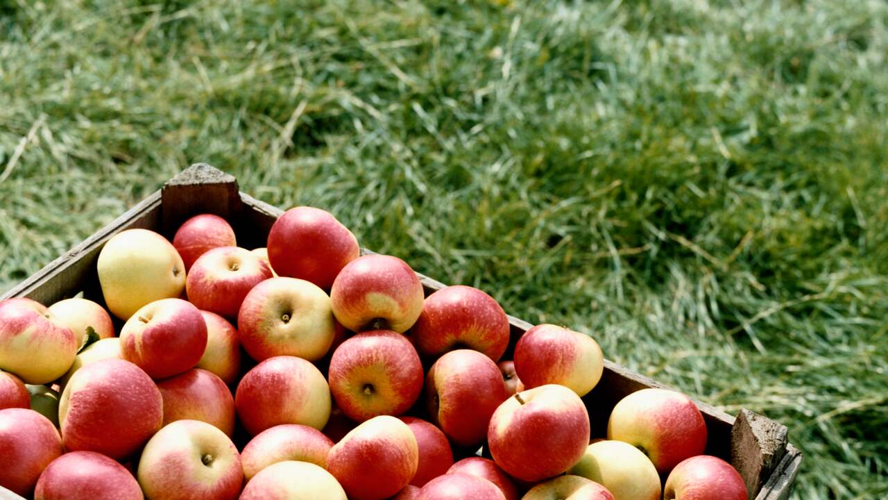 Appel is meest vervuilde fruitsoort | Overig | NU.nl