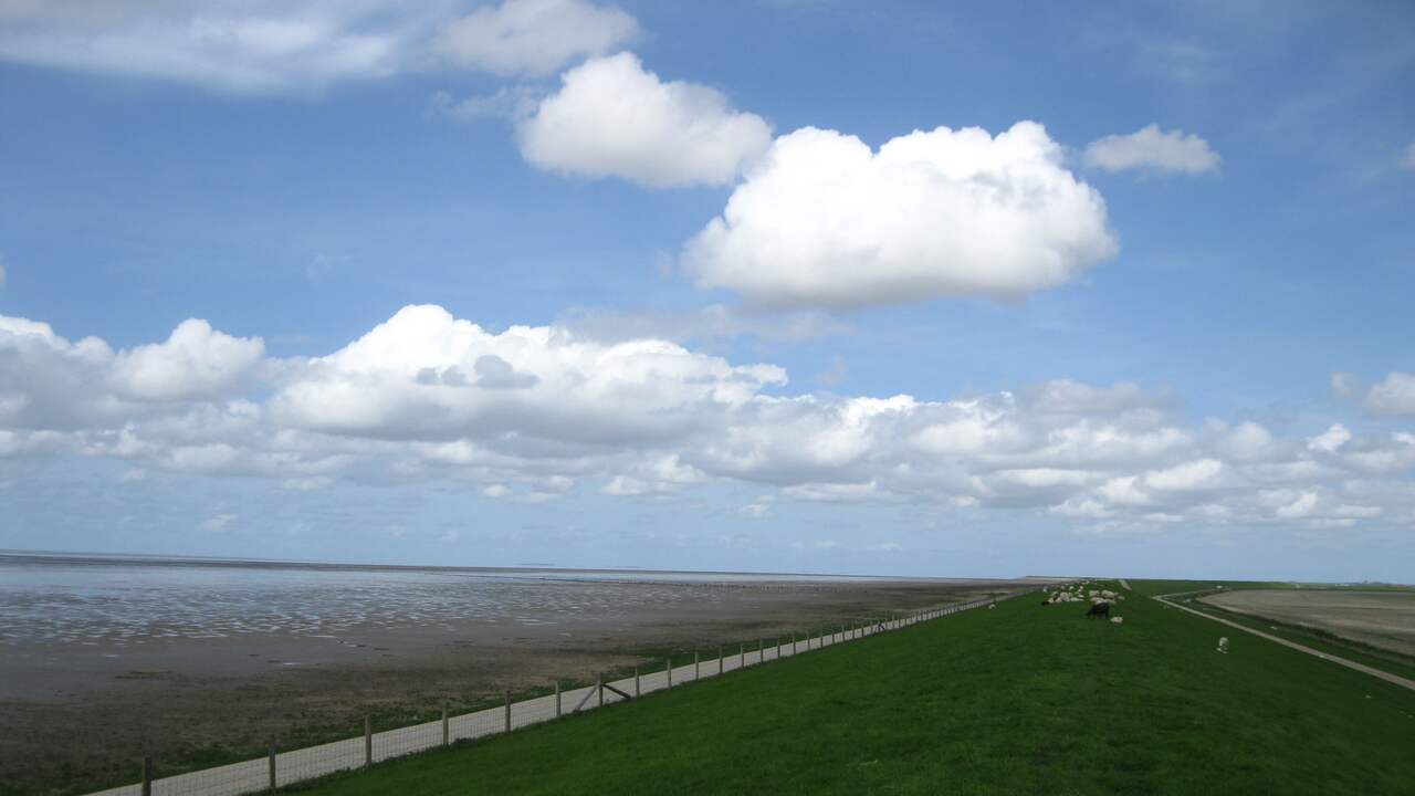 Ecologisch rampenplan voor Waddenzee | Binnenland | NU.nl