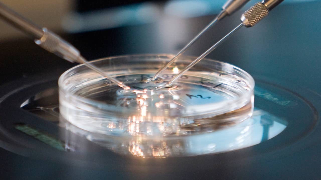 Eicellen invriezen: 'Elke vrouw die dat wil heeft een goede reden ...