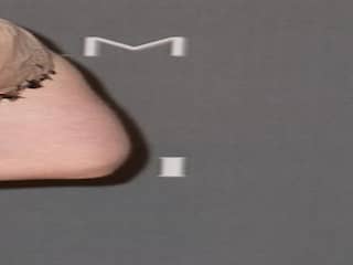 Evan Rachel Wood | NU - Het laatste nieuws het eerst op NU.nl