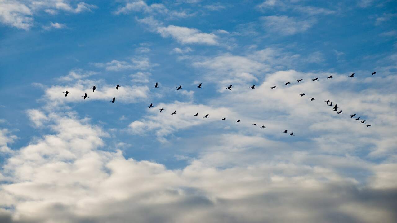 Menselijke activiteit beïnvloedt vorming wolken | Overig | NU.nl