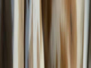 giraffe | NU - Het laatste nieuws het eerst op NU.nl